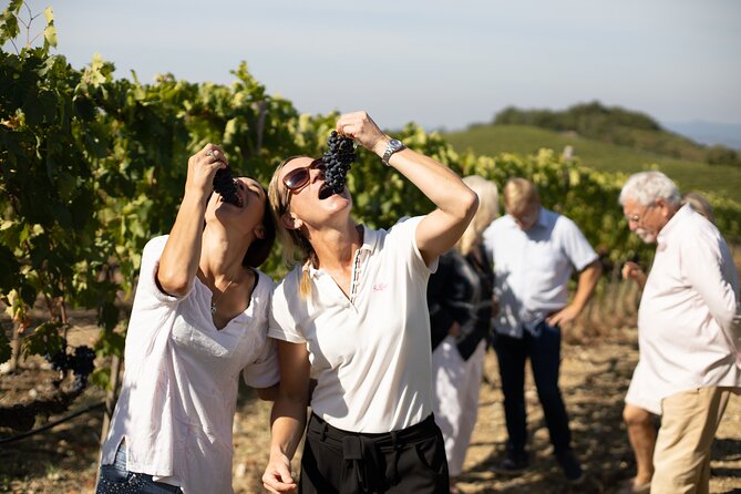 Winery Tour & Wine Tasting in Montalcino - Pricing and Cancellation Policy