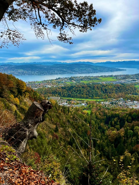 Zurich Cable Car Scenery up Panoramic Lake Zurich Comfort - Safety and Comfort