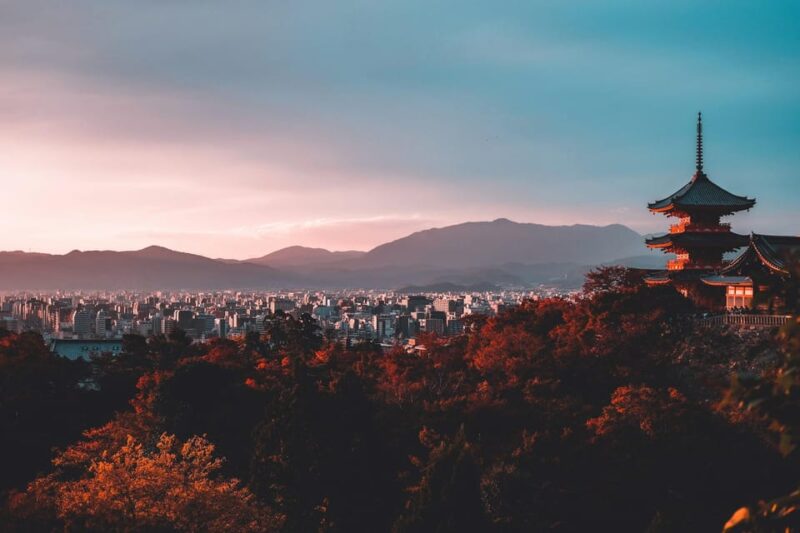 1-Day Osaka to Kyoto: Temples, Castles & Culture Tour - Fushimi Inari Taisha and Yasaka Shrine