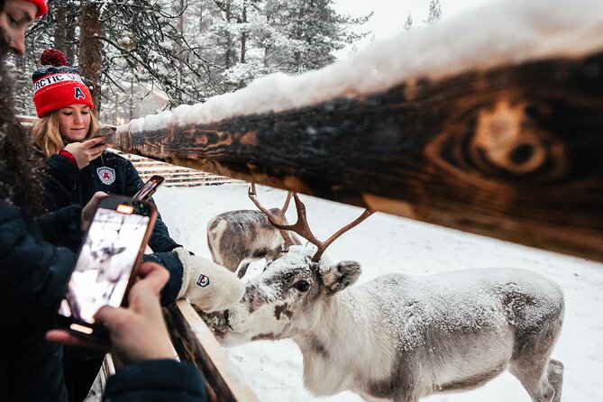 1 Day Pass Lapland Winter Park in Rovaniemi - Reviews and Recommendations