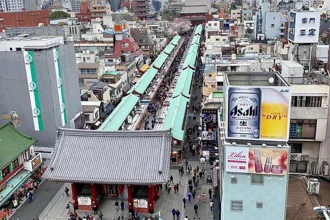 1 Day Private Charter Tokyo Sight Seeing Green Number Plate - Discover the Imperial Palace