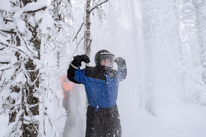 1 Hour Easy Snowmobile Safari in Levi - Scenic Photo Opportunities