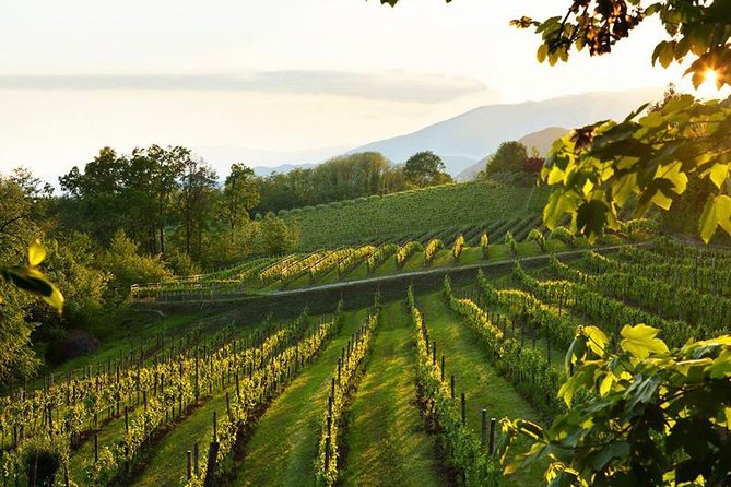 2 Guests Private Prosecco Road Tour All Inclusive From Conegliano - Discovering the Art of Prosecco Production