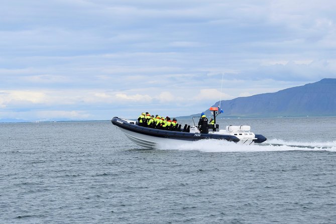 2-Hour RIB Boat Whale Watching Tour From Reykjavik - Preparing for the Adventure