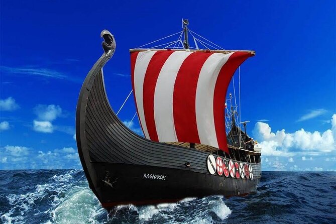2h Viking Cruise Whales and Dolphins Watching - Preparing for the Viking-Themed Adventure