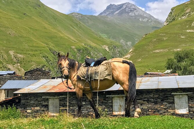 3 Day Tusheti Tour Explore Unspoiled Wilderness - What to Expect on the Tour