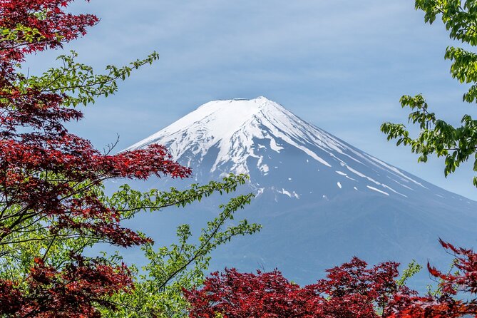 9-Day Japan and South Korea Highlight Tour - Highlights of the Tour