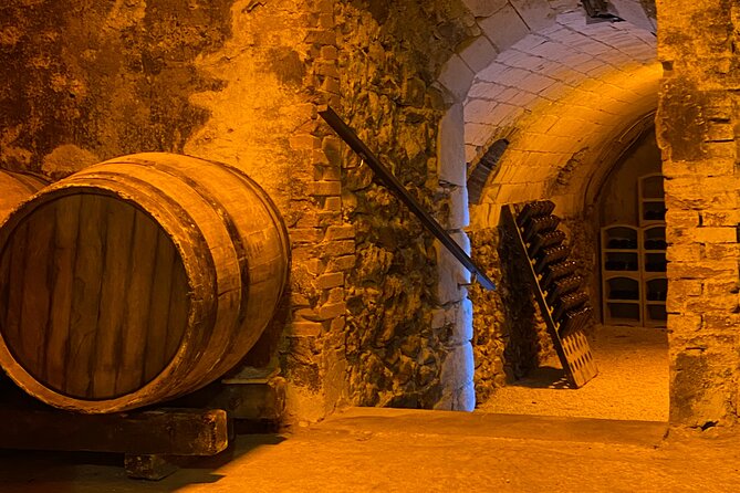 Afternoon Champagne Visit & Tasting Class Near Epernay - Why This Experience Is a Must for Champagne Lovers