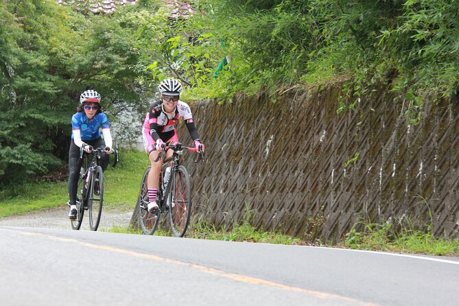 Akagi Mountain E-Bike Hill Climbing Tour - Common Questions