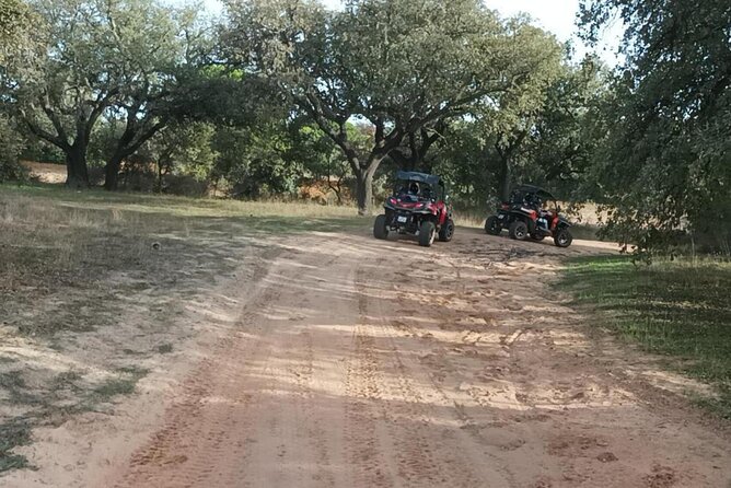Albufeira 2 Hour Off-Road Tour Buggy Adventure Tour - Booking and Meeting Information