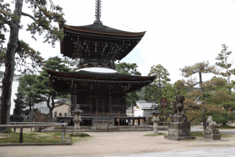 Amanohashidate & Ine Bay Tour With English Speaking Driver - Discovering Ine Boathouses