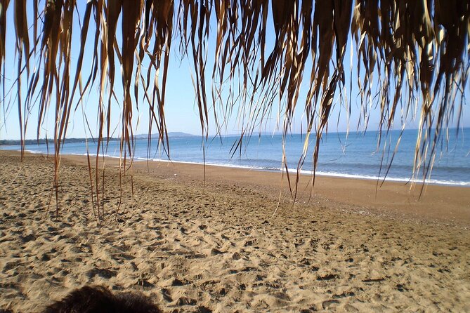 Ancient Olympia & Kourouta Beach - All Included Tour - Frequently Asked Questions