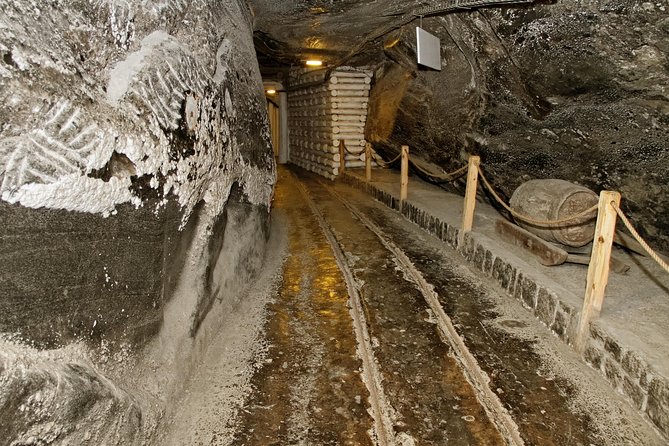 Auschwitz & Wieliczka ONE DAY Guided Tour +Private Transportation - Highlights of the Tour