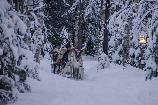 Authentic Reindeer Farm Experience in Rovaniemi - Positive Reviews and Recommendations From Travelers