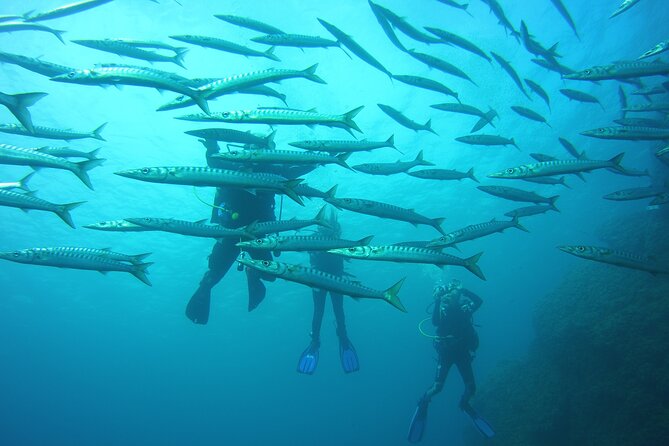 Baptism in the Northern Marine Reserve of Menorca - Customer Testimonials and Feedback