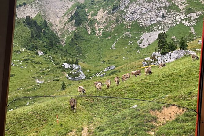 Basel Private Tour - Mt. Pilatus and Cruise on Lake of Lucerne - Cruising on Lake Lucerne