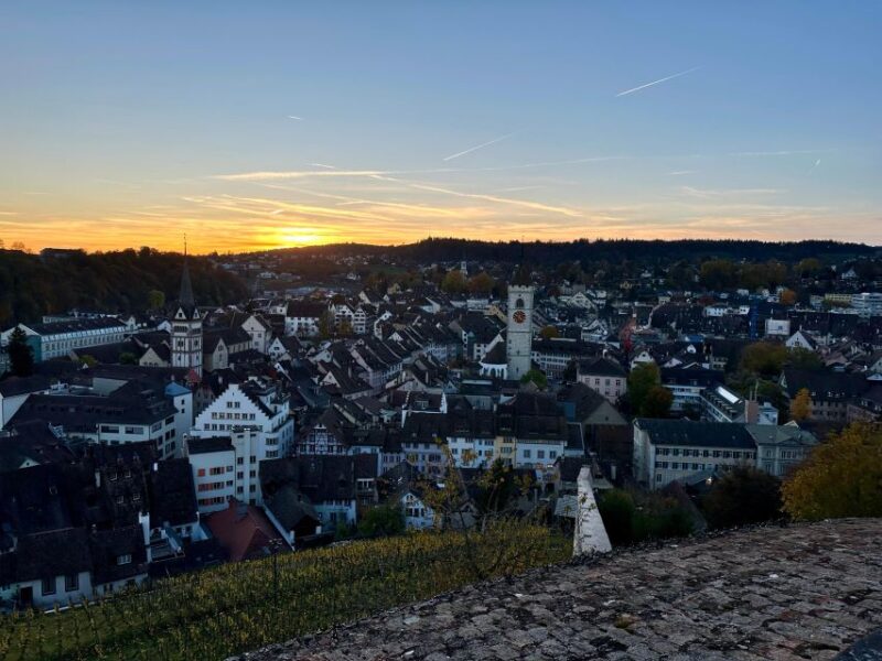 Basel: Stein Am Rhein, Schaffhausen, & Rhine River Cruise - Since You Asked