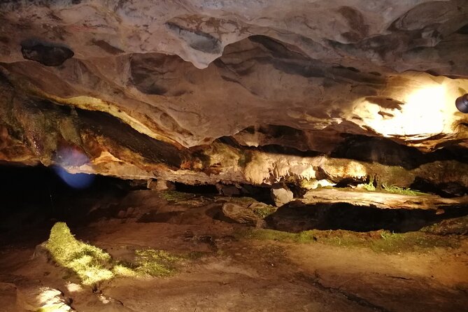 Beatus Caves, Panoramic Bridge, Nature Park Blue Lake and Lake Thun Cruise - Lake Thun Cruise