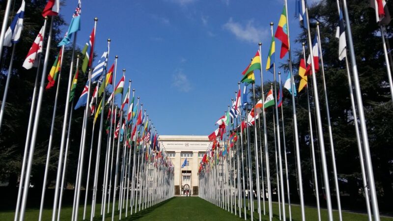 Best of Geneva: Guided City Tour With Scenic Lake Cruise - What to Expect on the Tour