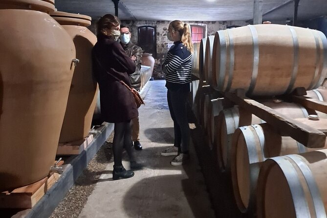 Bordeaux Médoc Region Private Wine Lovers Tour With Chateau Visits & Tastings - Unforgettable Experiences and Traveler Feedback