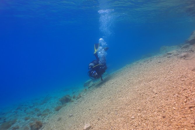 BRELA Bikini Dive *Try SCUBA DIVING* - Unique Underwater Adventure