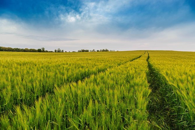 Budapest-Vienna One-Way Sightseeing Transfer - Discovering the Charm of Gyor and Sopron