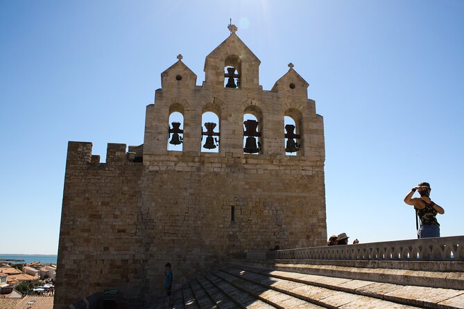 Camargue Small-Group Day Trip From Avignon - Tour Feedback and Recommendations