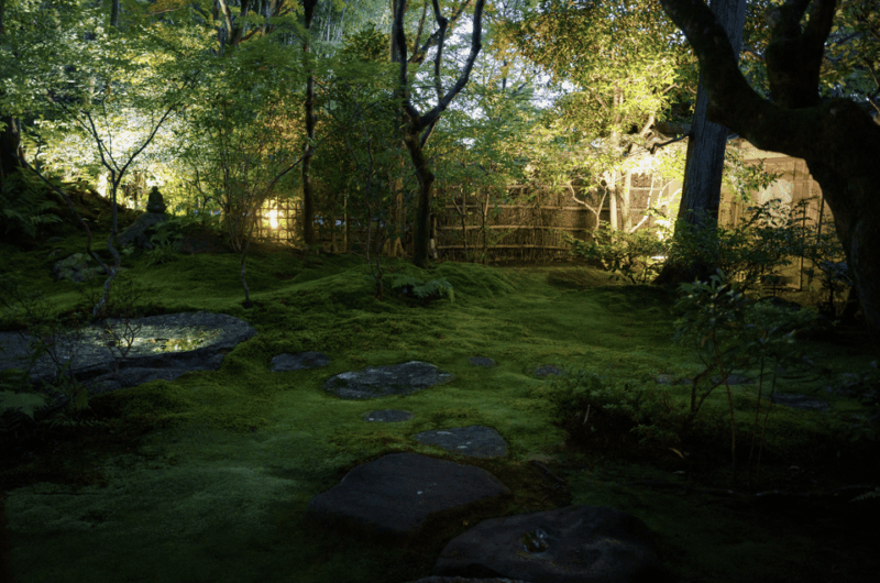 Candlelit Zen: Evening Meditation at Kyoto's Secret Temple - Connecting With Inner Peace