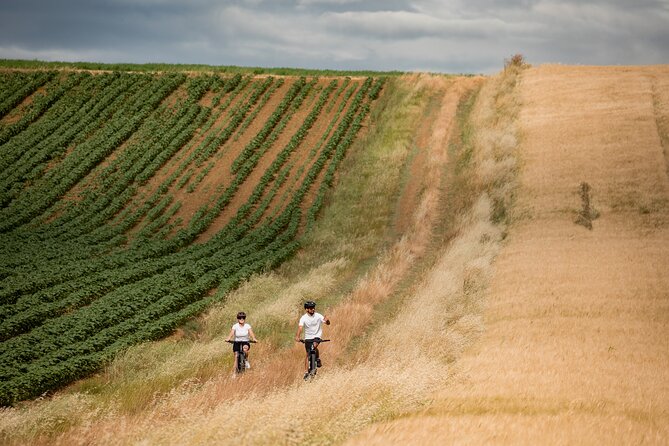 Castiglion Fiorentino - Ebike Tour in the Tuscan Countryside - Booking and Cancellation Policies