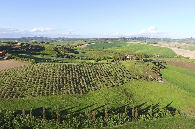 Chianti Classico, Montalcino, Montepulciano by Minivan: Wine Tastings & Lunch - Discover the Charming Towns of Montalcino and Montepulciano