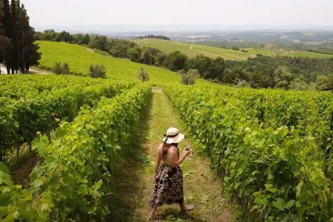 Chianti Vineyards: Small-Group Tour With Wine Tasting & Dinner - Since You Asked
