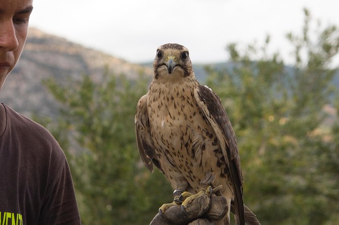 CIVITA EXPERIENCE Borgo Gole Mountain and ... RAPACI of Pollino - Plan Your Visit to Civita
