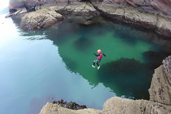Coasteering Geopark Adventure In Torquay - Taking in the Ancient Forest