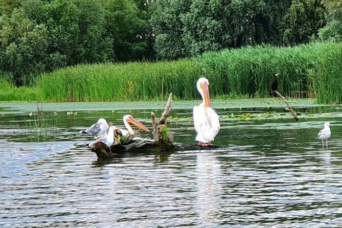 Danube Delta - Private Tour - Biosphere National Park - Frequently Asked Questions