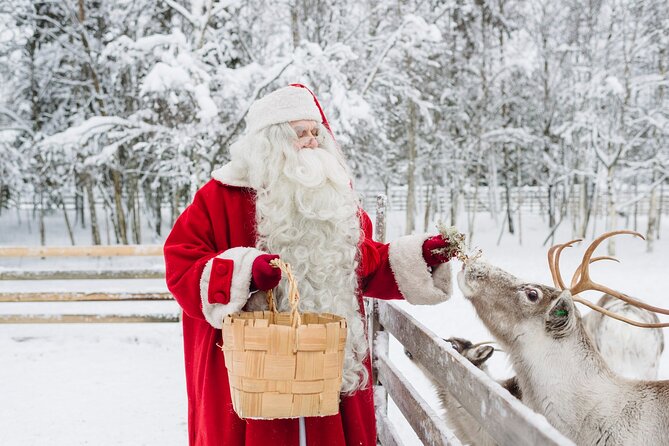 Daytour to Santa Claus Village, Reindeer and Husky Safaris, Photo, and Lunch - Logistics and Details