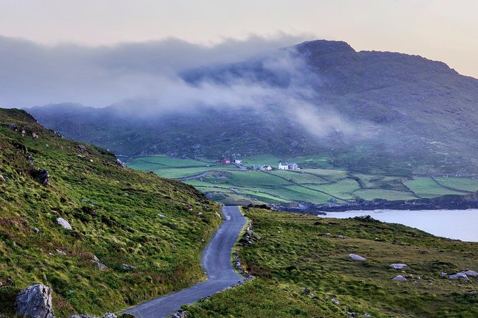 Dingle Peninsula & Slea Head Private Day Tour - Since You Asked