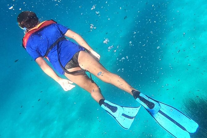 Dolphin Watching and Snorkeling in Figarolo in Sardinia - Getting There and Nearby Attractions