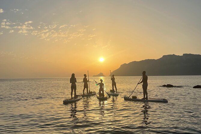 Dolphin Watching SUP Tour With Golfo Aranci Aperitif - Highlights of the Tour