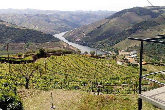 Douro Valley Private Wine Tour From Lisbon - Cruising the Picturesque Douro River