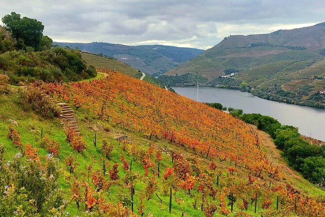 Douro Valley Unesco Heritage Fantastic Lunch & Wine Tasting - Exploring the Douro Valleys UNESCO Heritage and Culinary Delights