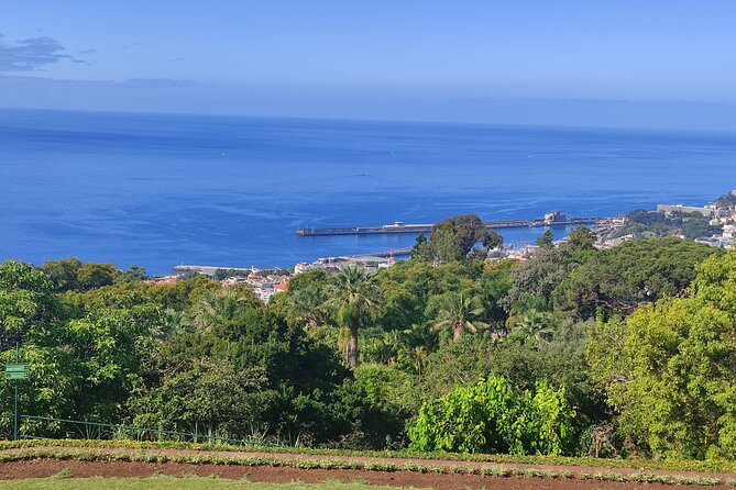 Downtown Delights: Sidecar Adventure in Funchal - 1 or 2 Persons - Frequently Asked Questions