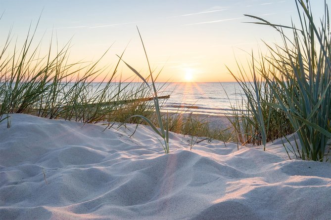 Drive It Yourself Electric Dune and Beach GPS Audio Tour - Requirements and Restrictions