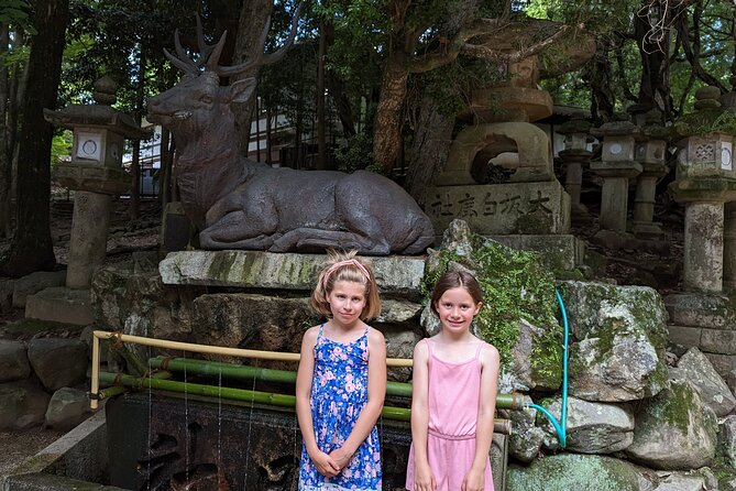 E-Bike Nara Highlights - Todaiji, Knives, Deer, Shrine, and Gems - Tour Participation and Conditions