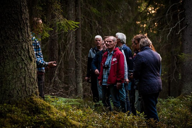 Evening Wildlife Safari Stockholm - Customizing Your Experience