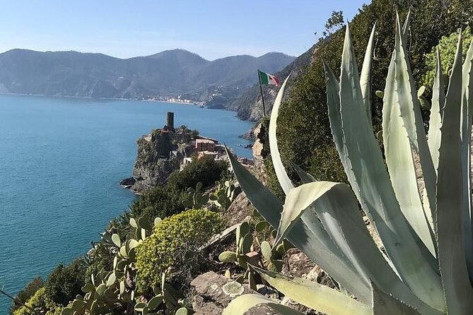 Exclusive Cinque Terre by Ferry With Stop in Pisa From Florence - Practical Considerations and Preparation