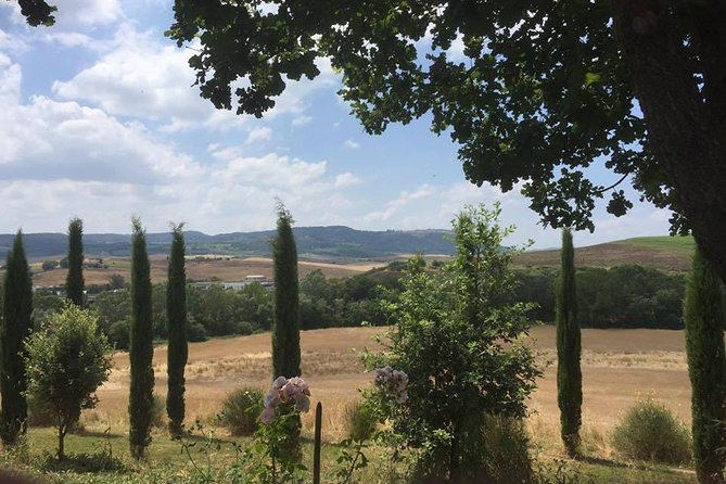 Exclusive Private Tuscany Wine Tour & Food Pairing Session - Additional Information and Recommendations