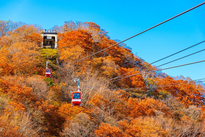 Explore the Culture and History of Nikko With This Private Tour - What to Expect on the Nikko Tour