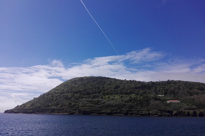 From Angra: Terceira Island Full-Day Tour - Important Information for Travelers
