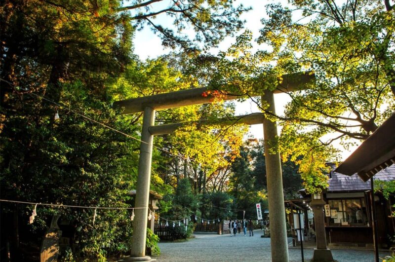 From Fukuoka: Day Trip to Miyazaki Takachiho Gorge & Shrine - Booking and Reservation Details