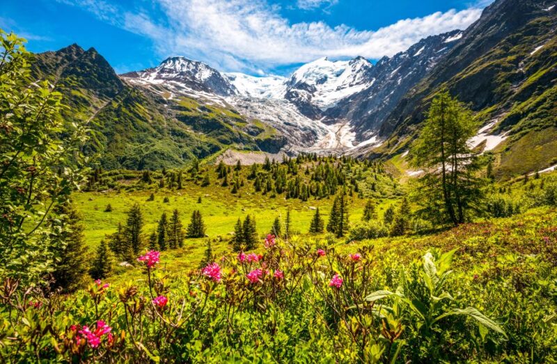 From Geneva: Chamonix Mont-Blanc Private Day Trip - Reviews and Experiences